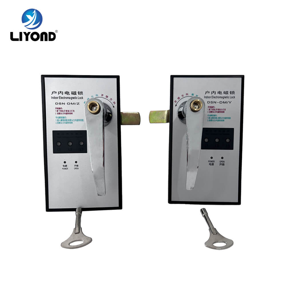 Indoor Electromagnetic Lock DSN-DM Type with Display Function